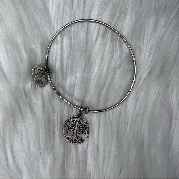 Alex and Ani | Jewelry | Alex And Ani Rafaelian Silver Tree Of Life Charm Bangle Bracelet | Poshmark